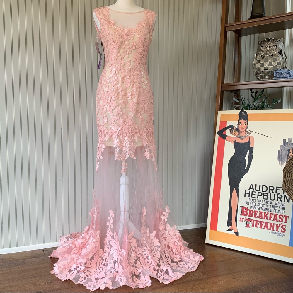 Glamorous Sheer Embellished Pink Floral Long Dress Go… - Gem